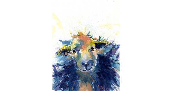 Kate Stephens - Just Herdy